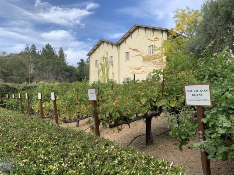 From San Francisco: Private Muir Woods and Napa Wine Tour - The Itinerary: What You Can Expect
