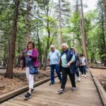 From San Francisco: Yosemite National Park Guided Day Trip - Who Is This Tour Best For?