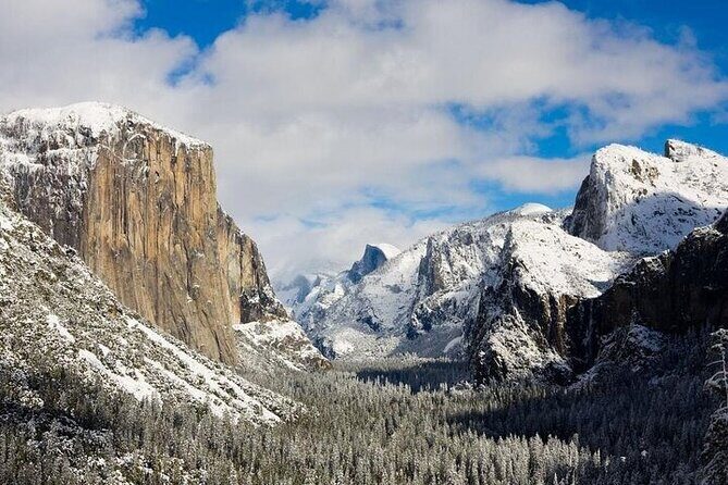 From San Jose-Private Full Day Yosemite National Park Tour - What Makes This Tour Stand Out?