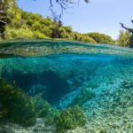 From Sarandë: The Blue Eye and Lekuresi Castle - The Drive and Forested Journey