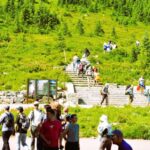 From Seattle: Customized Mount Rainier Tour - Who Will Love This Tour?