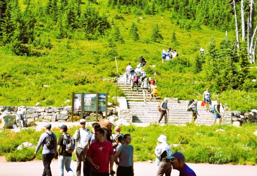From Seattle: Customized Mount Rainier Tour - Who Will Love This Tour?