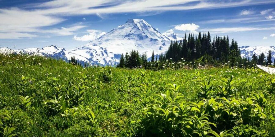 From Seattle - Enchanting Mt Baker & Cascade mountains tours - The Driving Experience and Logistics