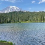 From Seattle: Full-Day Mt Rainier National Park Tour - Major Highlights and Why They Matter