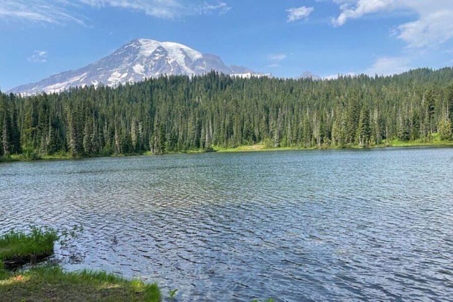From Seattle: Full-Day Mt Rainier National Park Tour - Major Highlights and Why They Matter