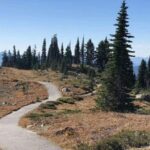 From Seattle: Mount Rainier National Park 1-Day Tour - The Experience of Guides and Small Details