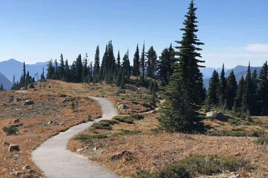 From Seattle: Mount Rainier National Park 1-Day Tour - The Experience of Guides and Small Details