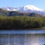 From Seattle: Mount Saint Helens Monument Private Day Trip - Scenic Views and Natural Phenomena