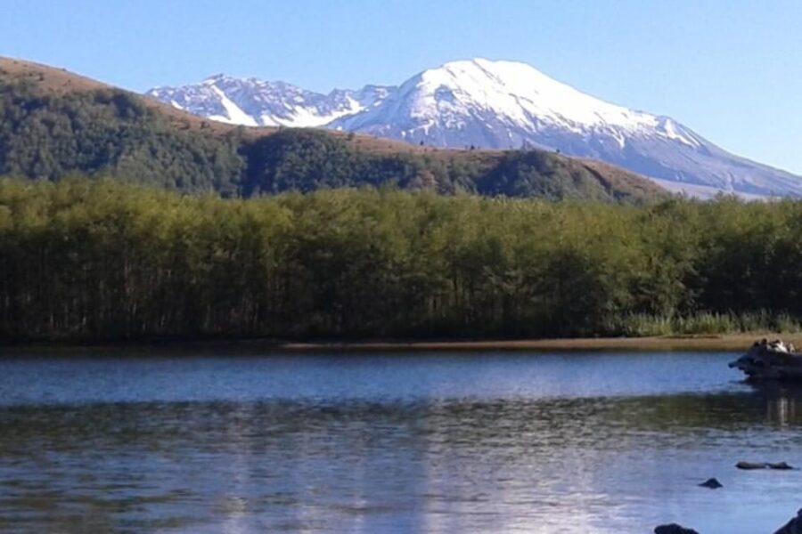 From Seattle: Mount Saint Helens Monument Private Day Trip - Scenic Views and Natural Phenomena