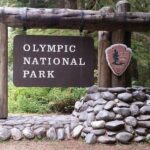 From Seattle: Olympic National Park Full Day Tour - What We Love About This Tour