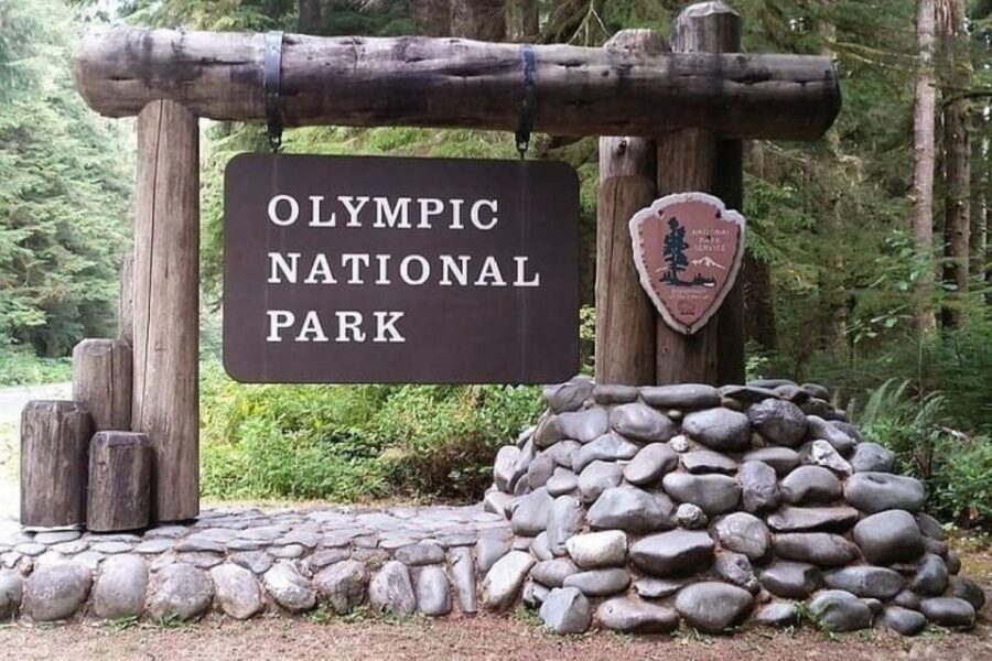 From Seattle: Olympic National Park Full Day Tour - What We Love About This Tour