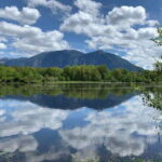 From Seattle: Pacific Northwest Waterfalls & Hiking Tour - A Close Look at the Tour Experience
