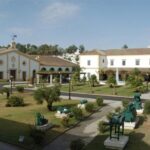 From Seville: Tour of Jerez with Horse Show & Wine Tasting - What to Expect on the Tour