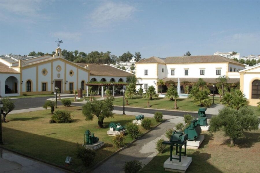 From Seville: Tour of Jerez with Horse Show & Wine Tasting - What to Expect on the Tour