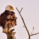 From Seward: 2-hour Wilderness Hiking Tour - An Authentic Glimpse of Alaska’s Backcountry