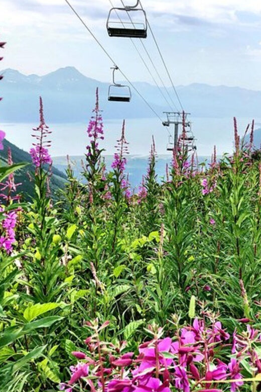 From Seward or Whittier: Guided Craft Tour and Ship Transfer - Is It Worth the Price?