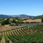 From SF : -8hr- Private Wine Tour & Custom Concierge.XL SUV - Who Should Consider This Tour?