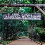 From SF - Day Trip to Muir Woods, Golden Gate Bridge & Sausalito - First Stops: Iconic Landmarks and Neighborhoods
