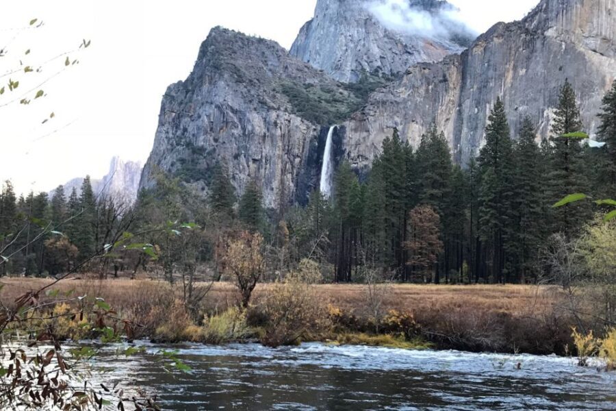 From SF: Yosemite Day Trip with Giant Sequoias Hike & Pickup - The Value of This Tour