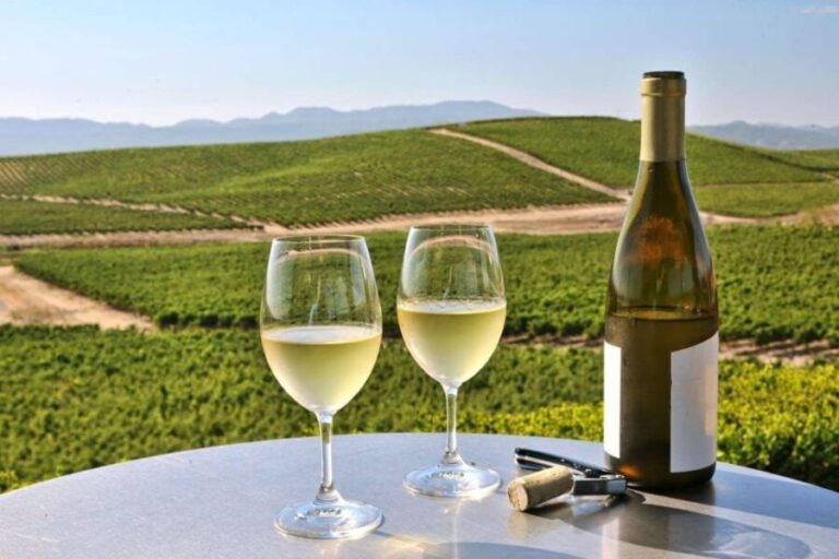 From SFO - Enchanted Napa & Sonoma Wine Tour in SUV - The Value of the Tour