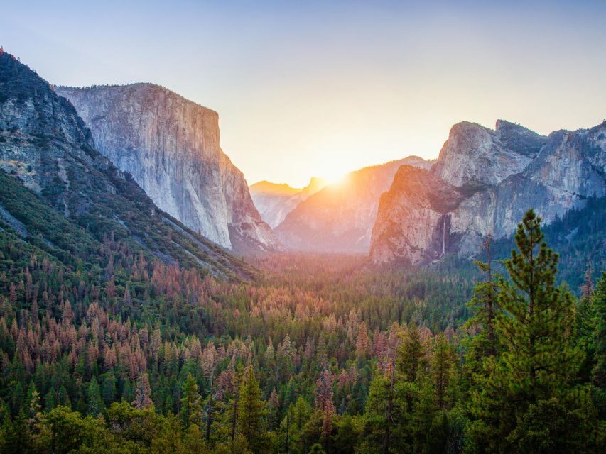 From SFO-Yosemite National Park-Enchanting Full Day Tour - The Value of the Experience