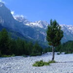 From Shkoder: 3-Day Valbona to Theth Hike Tour All Inclusive - Authentic Experiences and Traveler Feedback
