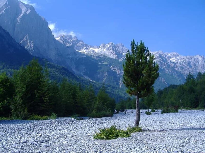 From Shkoder: 3-Day Valbona to Theth Hike Tour All Inclusive - Authentic Experiences and Traveler Feedback