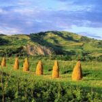 From Sighetu Marmatiei: Maramures and Barsana Monastery Tour - The Value of This Tour