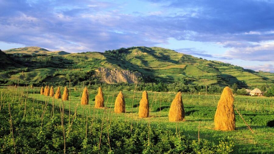 From Sighetu Marmatiei: Maramures and Barsana Monastery Tour - The Value of This Tour