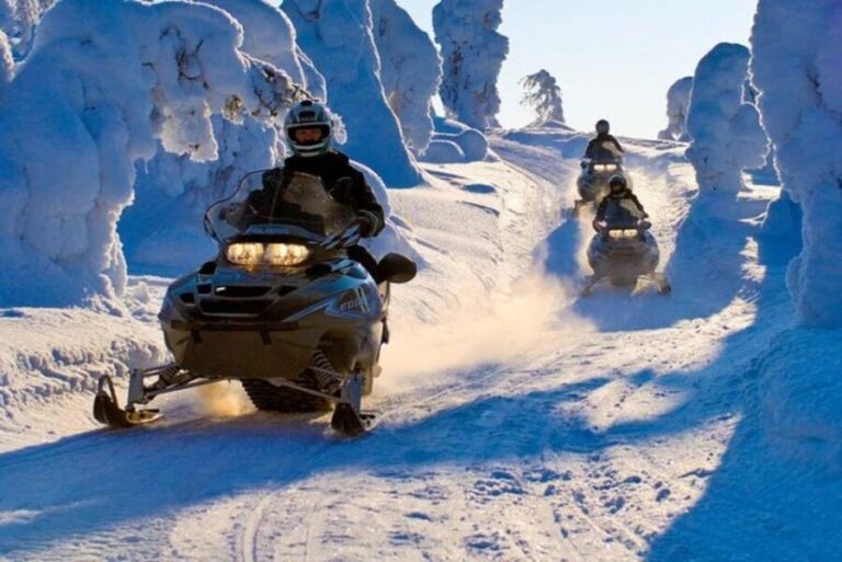 From Sirkka: Lapland Snowmobile Safari in Levi - Practical Details & Tips for Travelers