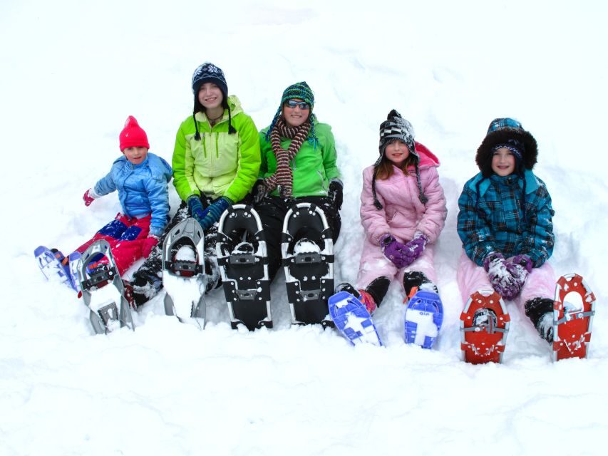 From Sirkka: Levi Summit Guided Nature Snowshoeing Tour - What the Reviews Tell Us