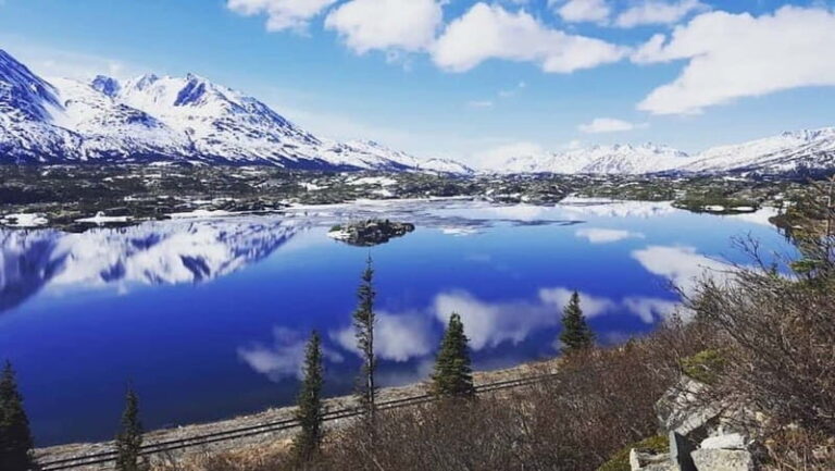 From Skagway: White Pass and Yukon Suspension Bridge Tour - Who Will Love This Tour?