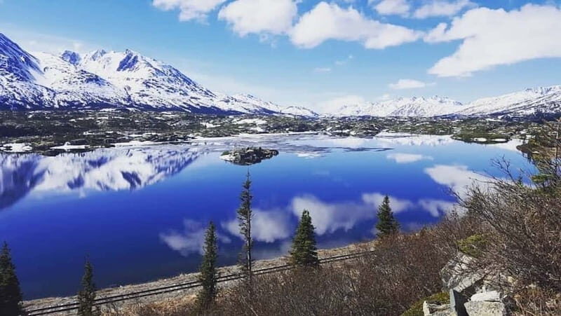 From Skagway: White Pass and Yukon Suspension Bridge Tour - Who Will Love This Tour?