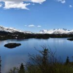 From Skagway: White Pass Summit Guided Bus Tour - Analyzing the Experience