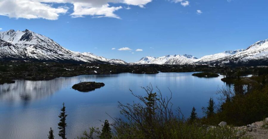 From Skagway: White Pass Summit Guided Bus Tour - Analyzing the Experience