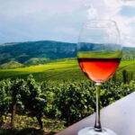 From Skopje: Private Tour of Sopot Winery with Lunch - The Reality Check: Pros and Cons