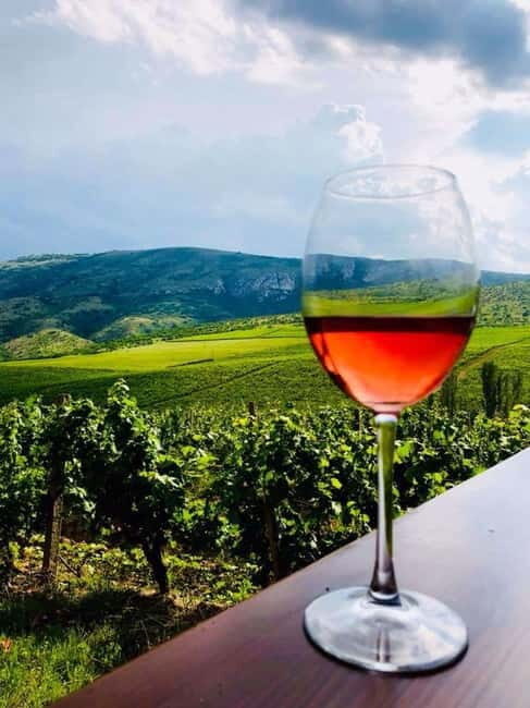 From Skopje: Private Tour of Sopot Winery with Lunch - The Reality Check: Pros and Cons
