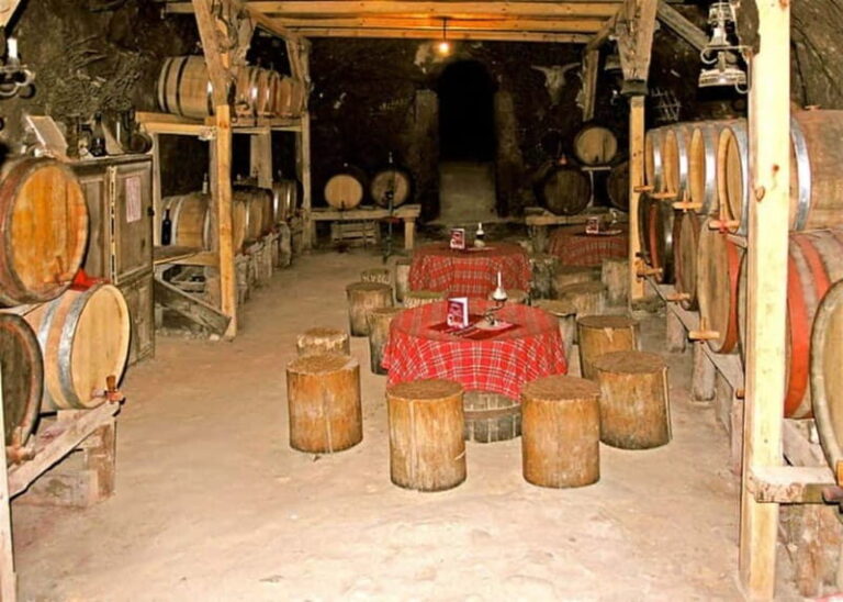 From Sofia: Private Melnik Wine Tour - Worth the Price?