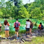 From Split: Plitvice Lakes Guided Tour with Entry Tickets - An In-Depth Look at the Tour Experience