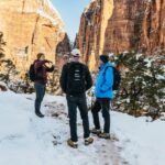 From Springdale: 4-hour Zion Canyon Scenic Hiking Tour - Logistics and Practicalities