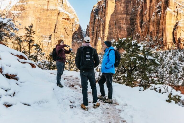 From Springdale: 4-hour Zion Canyon Scenic Hiking Tour - Logistics and Practicalities