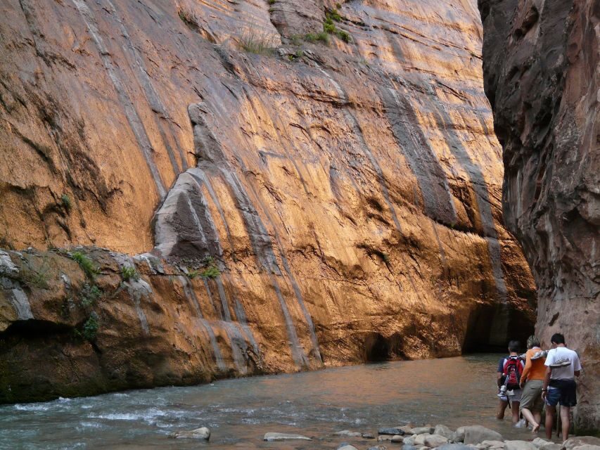 From Springdale: The Zion Narrows Hike with Lunch - Real Traveler Insights