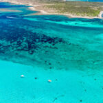 From Stintino: Half-Day Speedboat Tour to Asinara - Itinerary Breakdown: What to Expect