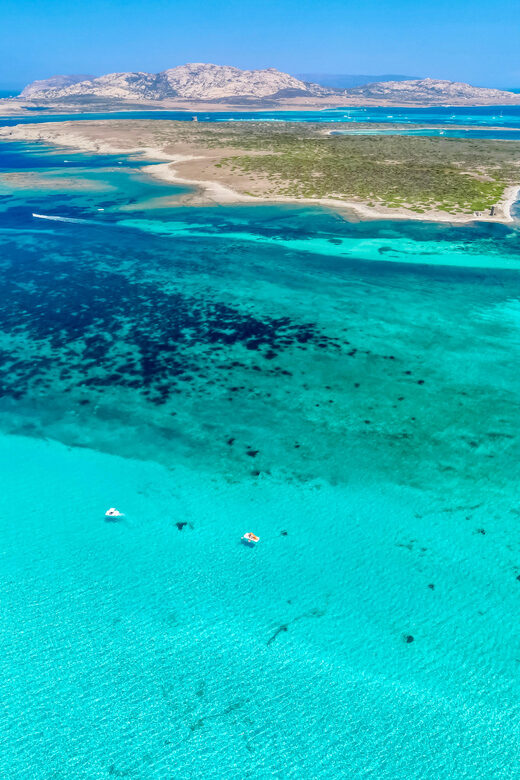 From Stintino: Half-Day Speedboat Tour to Asinara - Itinerary Breakdown: What to Expect