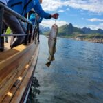 From Svolvaer: Lofoten Fishing Boat Cruise - A Closer Look at the Experience