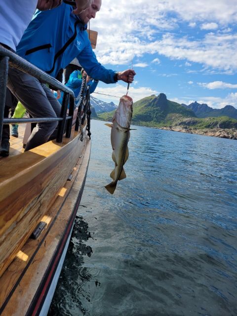 From Svolvaer: Lofoten Fishing Boat Cruise - A Closer Look at the Experience