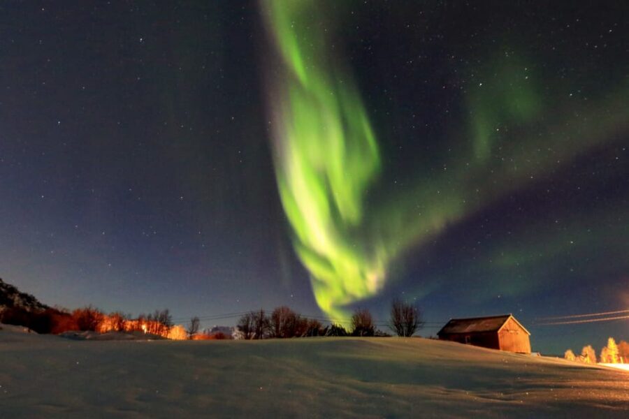 From Svolvaer: Private Northern Lights Search Trip - Is This Tour Worth the Price?