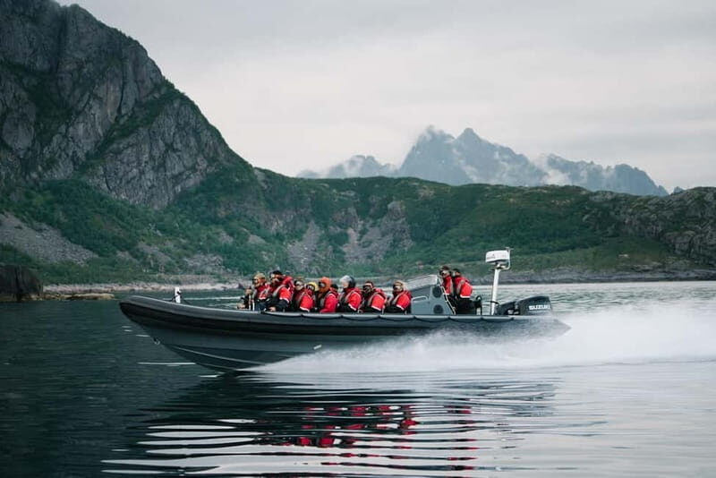 From Svolvær: RIB Boat Lofoten Trollfjord Sea Eagle Safari - The Value and Practical Considerations