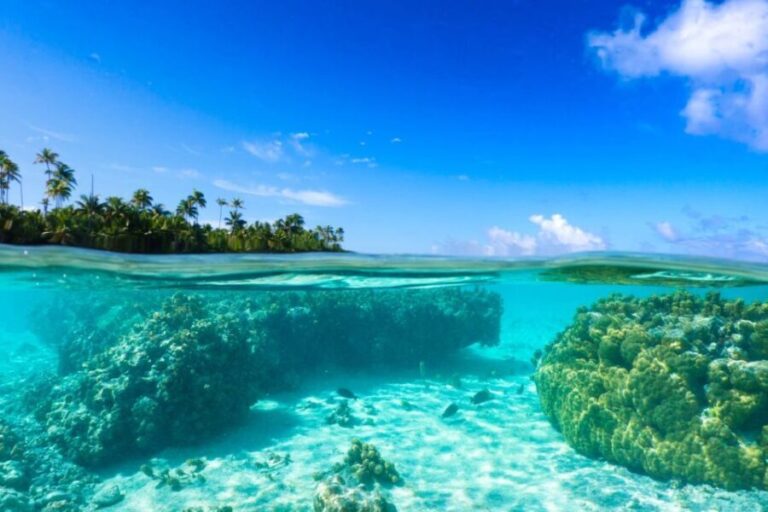 From Tahiti: Tetiaroa Island Tour by Sailing Catamaran - Approaching Tetiaroa: a glimpse of paradise