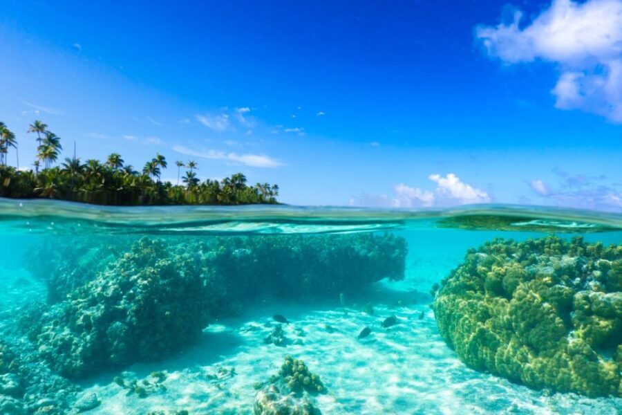 From Tahiti: Tetiaroa Island Tour by Sailing Catamaran - Approaching Tetiaroa: a glimpse of paradise